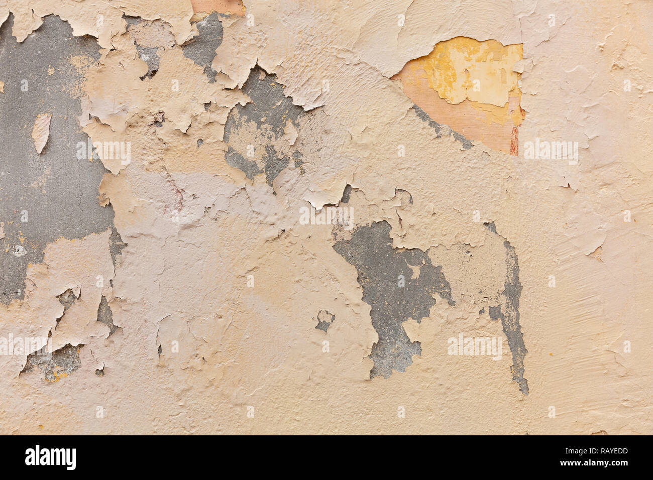 Light brown color, painted wall. Weathered and faded texture, grunge ...