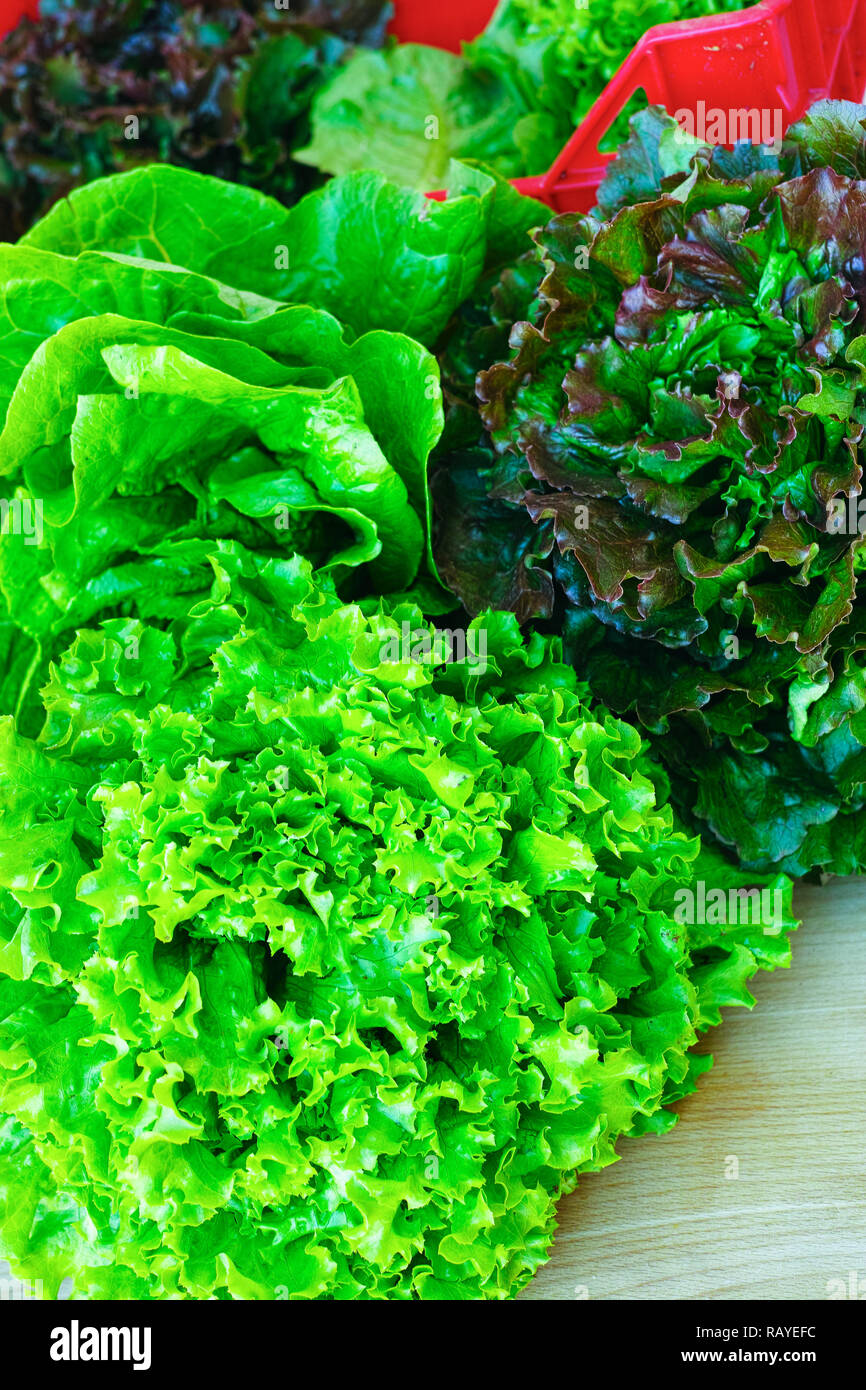 Salade caesar hi-res stock photography and images - Alamy