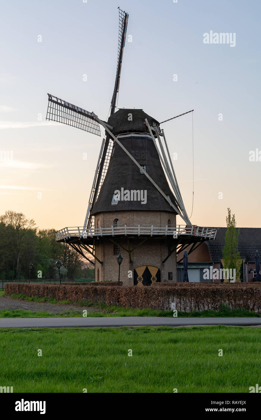 Landscape with traditional Dutch grain wind mill and blue sky on sunset ...