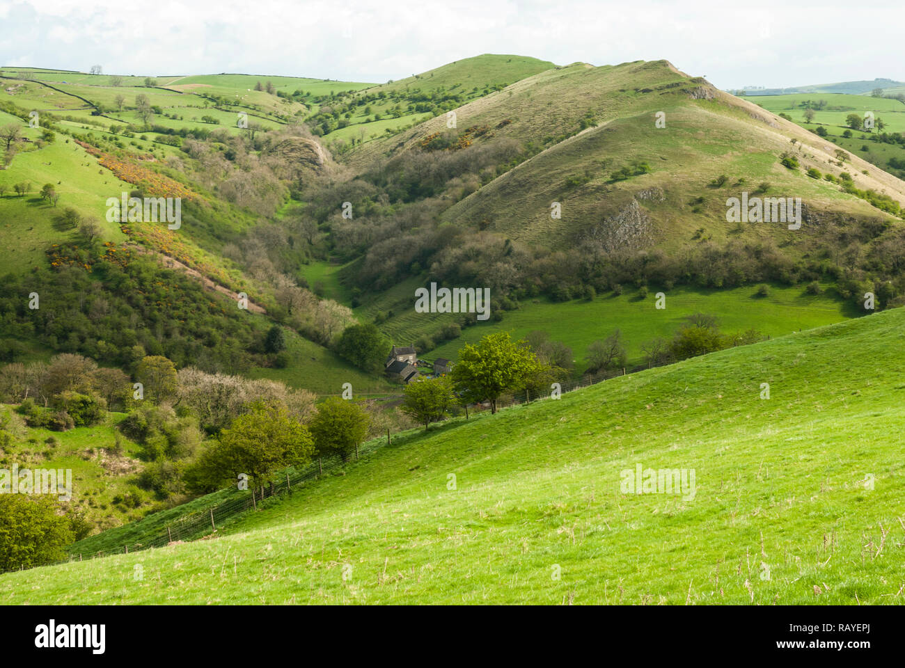 View of the Manifold Valley with Wetton Hill behind right, Dale Farm ...