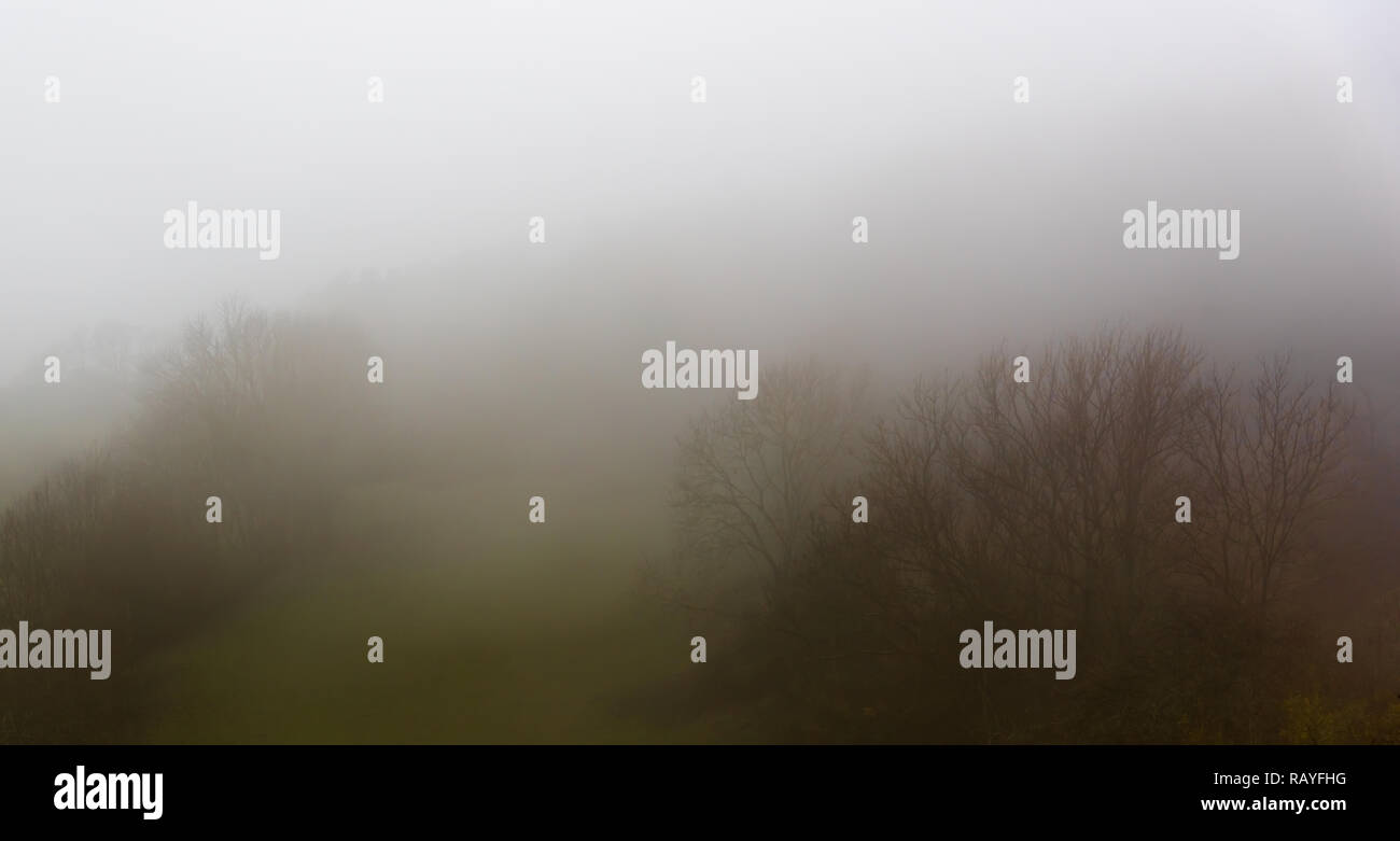 Hill with few trees hi-res stock photography and images - Alamy