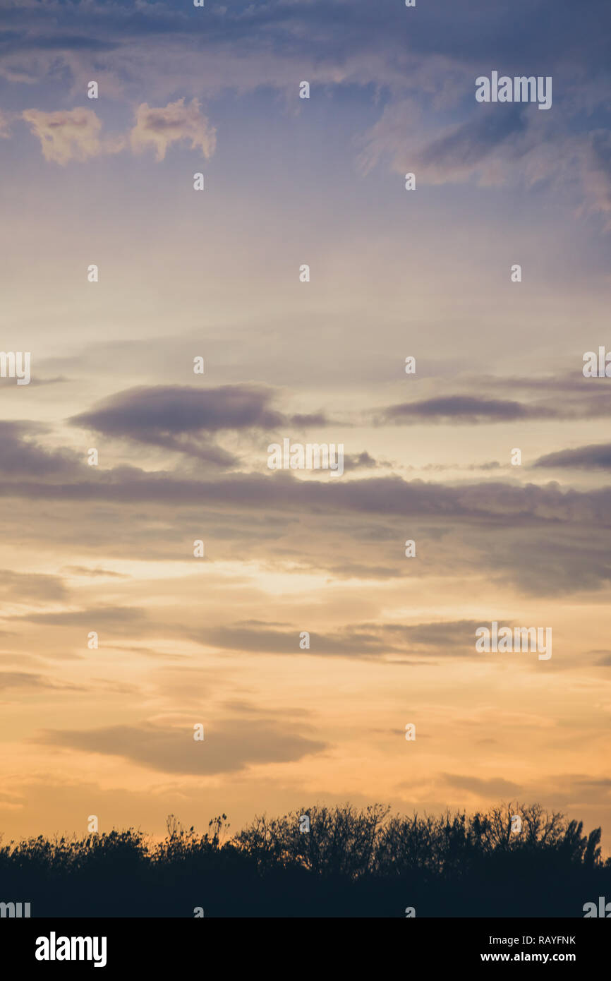 Clouds on sunset sky over trees line Stock Photo - Alamy