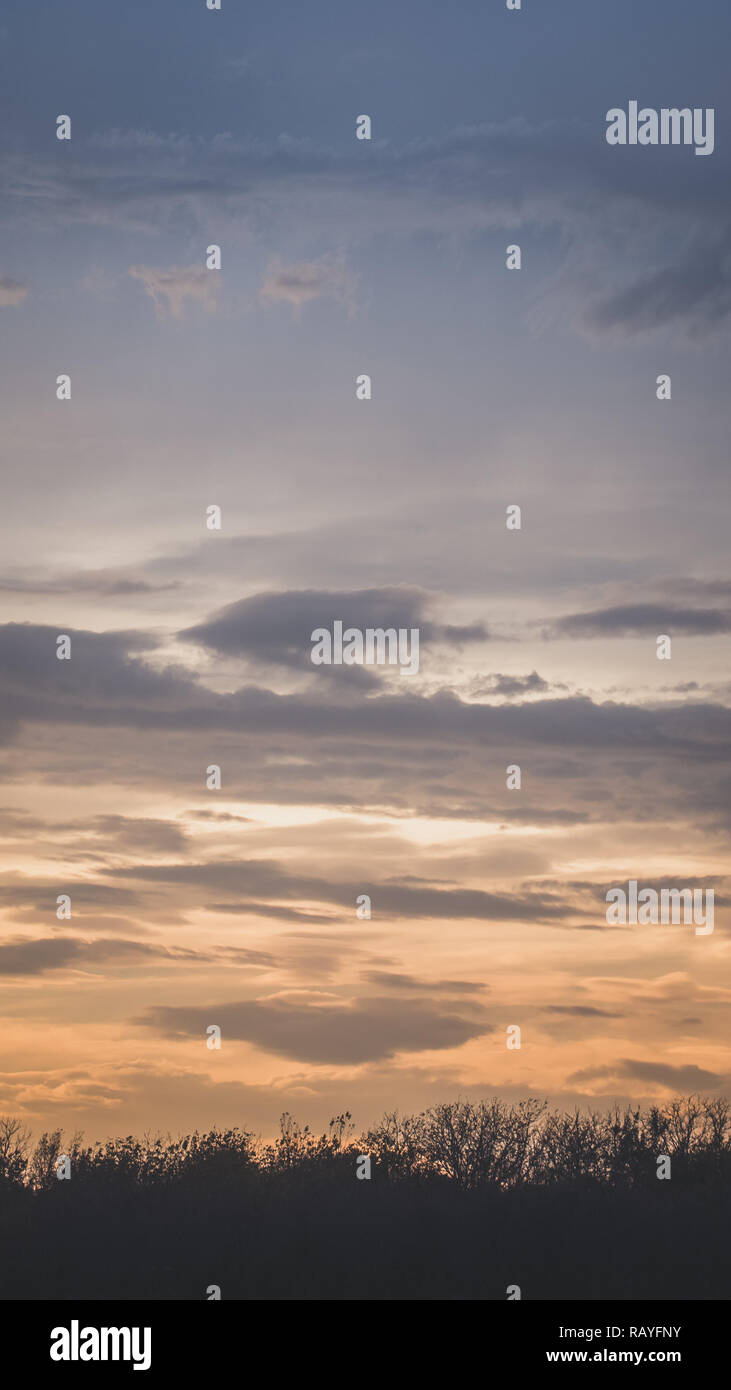 Clouds on sunset sky over trees line Stock Photo - Alamy
