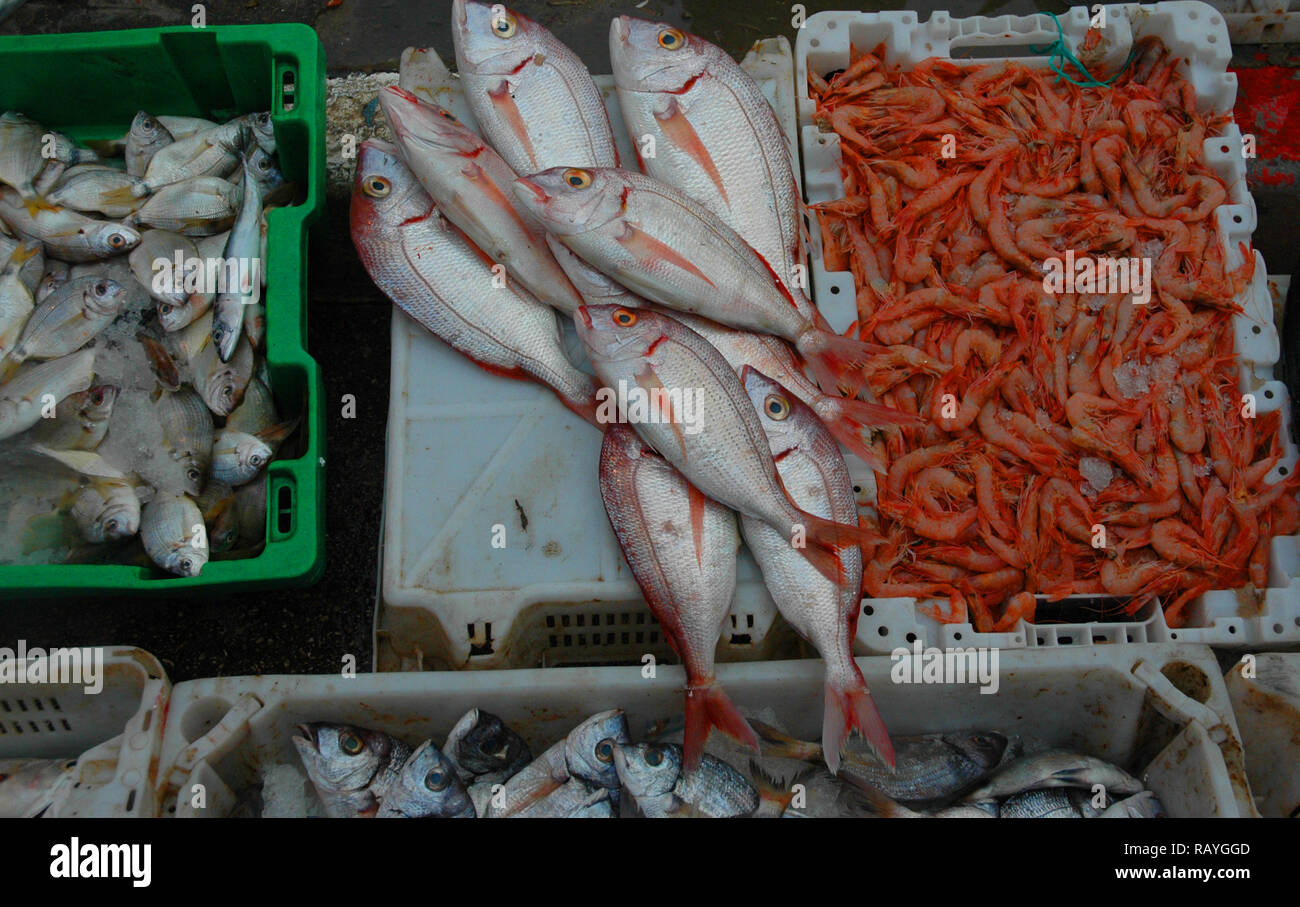 Fish market casablanca morocco hi-res stock photography and images - Alamy
