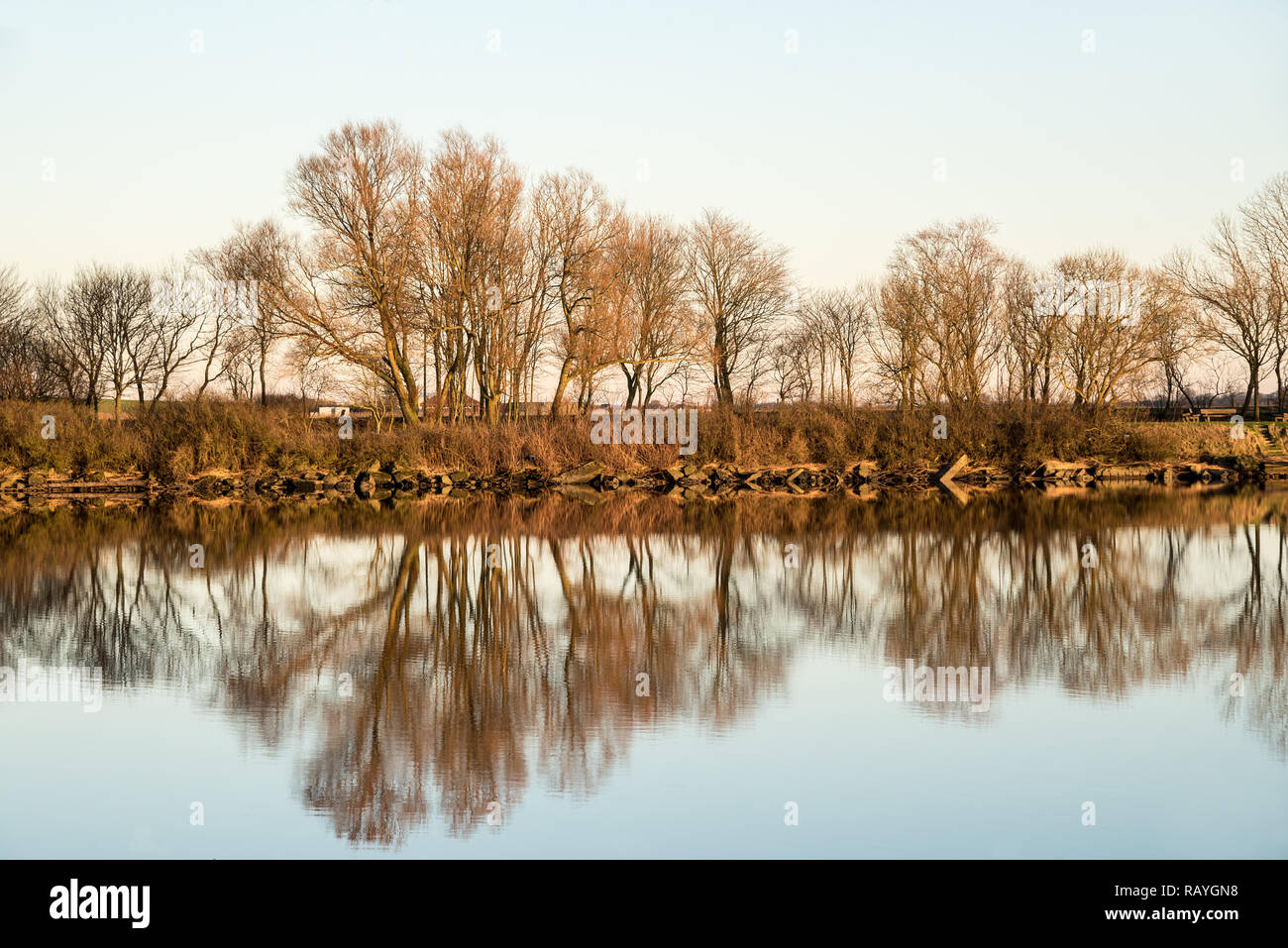 Beautiful lake reflects trees in hi-res stock photography and images ...