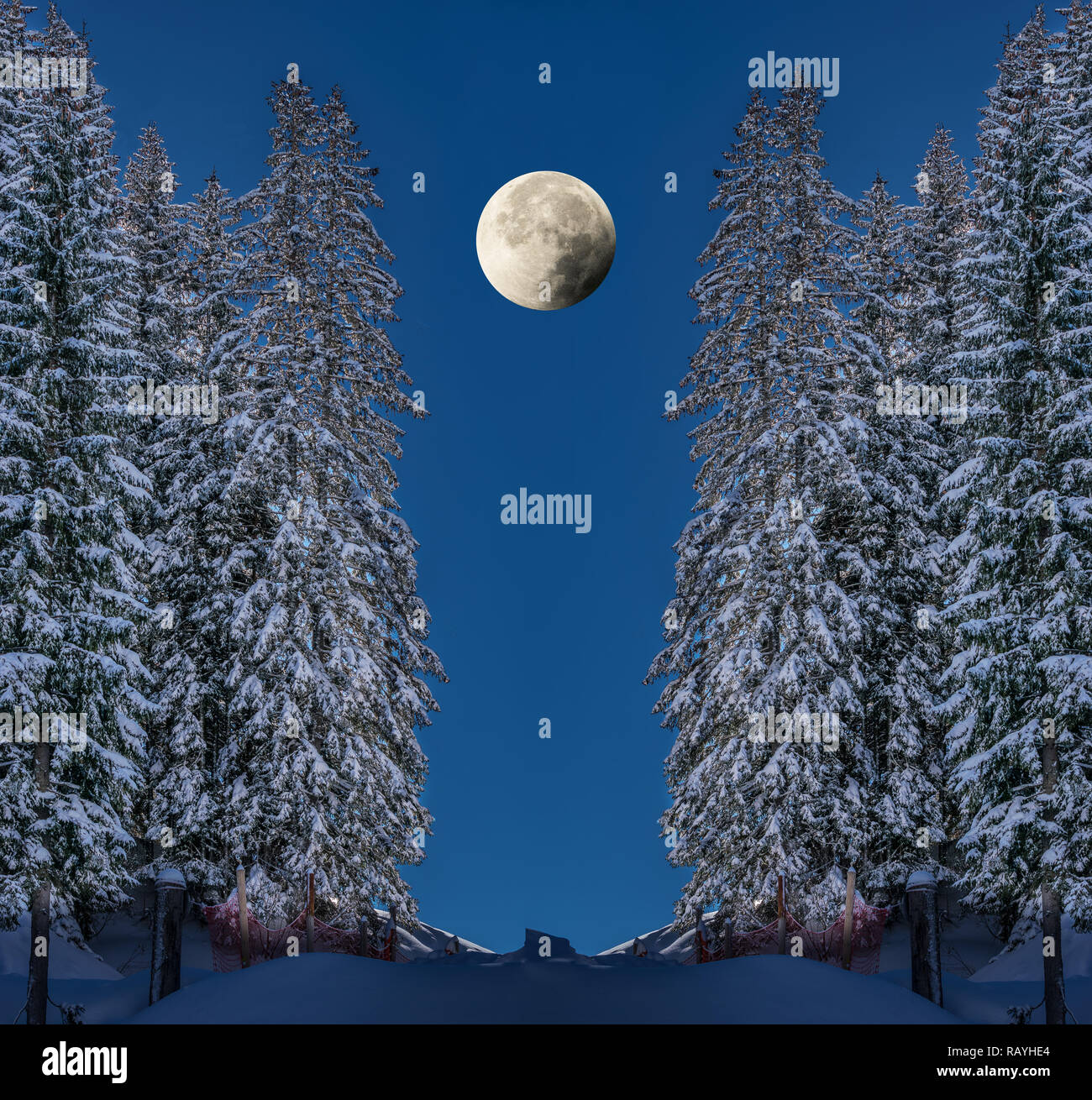 Full moon landscape trees hi-res stock photography and images - Alamy