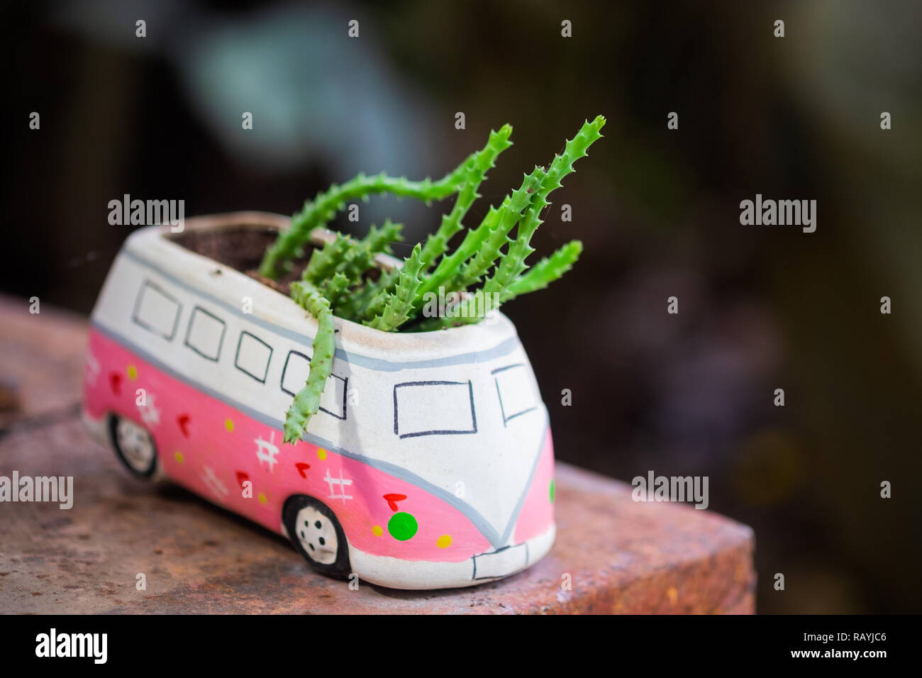 Cactus toy hi-res stock photography and images - Alamy