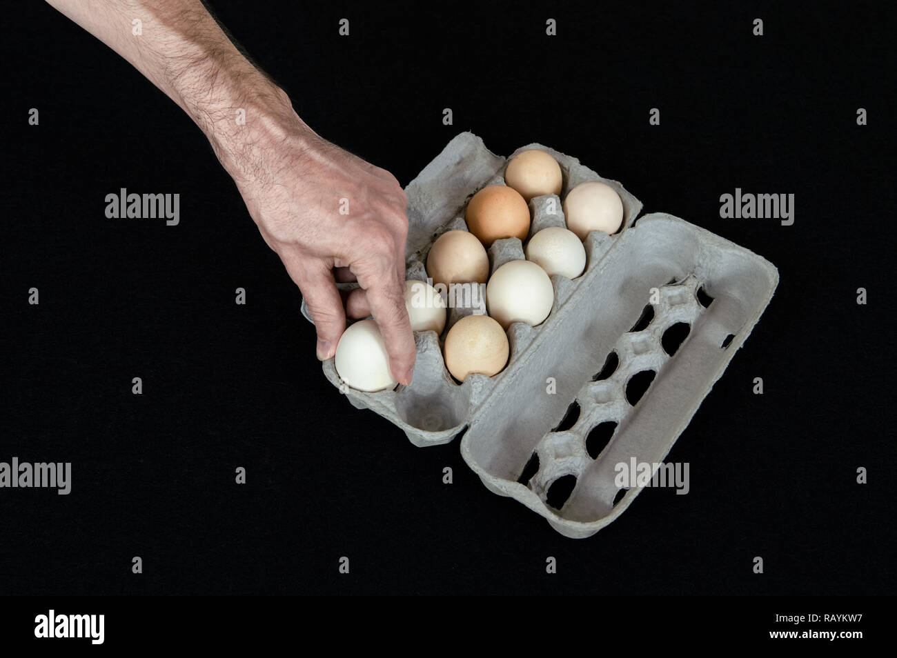 Hand Holding Egg Box High Resolution Stock Photography and Images - Alamy