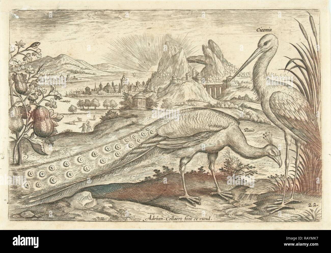 Two birds in a landscape, Adriaen Collaert, 1598 - 1602. Reimagined by ...