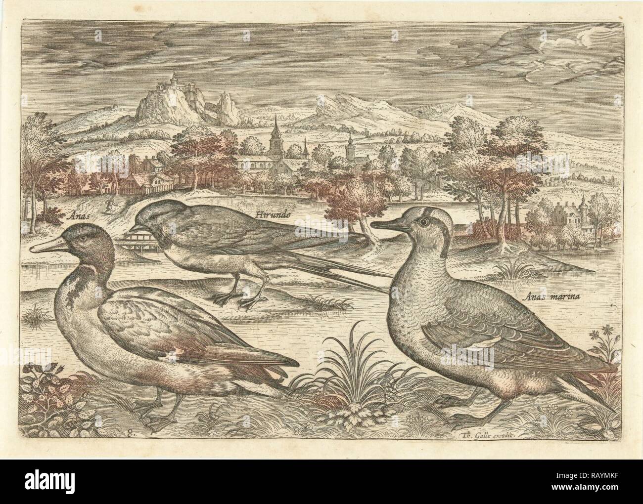 Some birds in a landscape, Adriaen Collaert, 1598-1618. Reimagined by ...