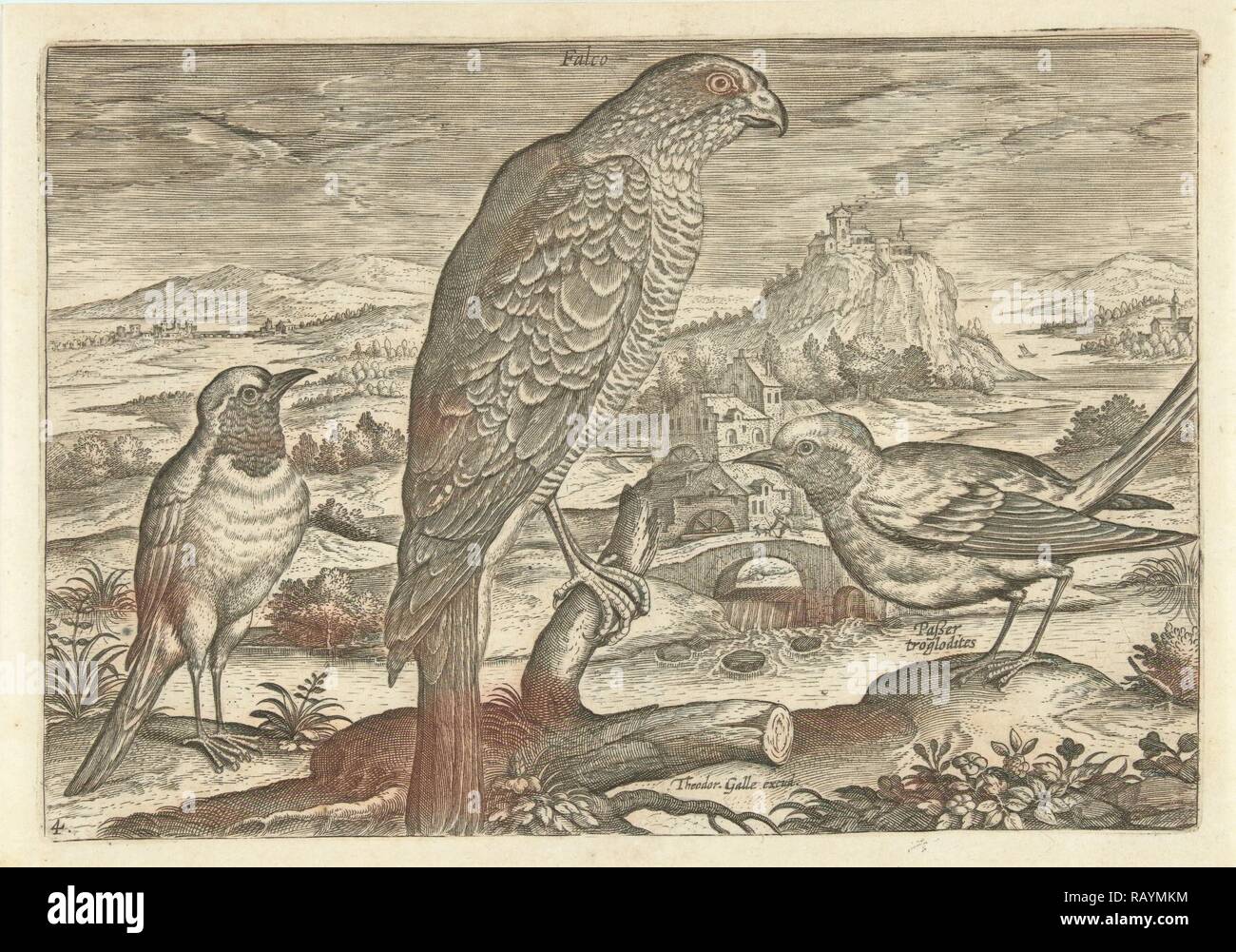 Some birds in a landscape, Adriaen Collaert, 1598 - 1618. Reimagined by ...