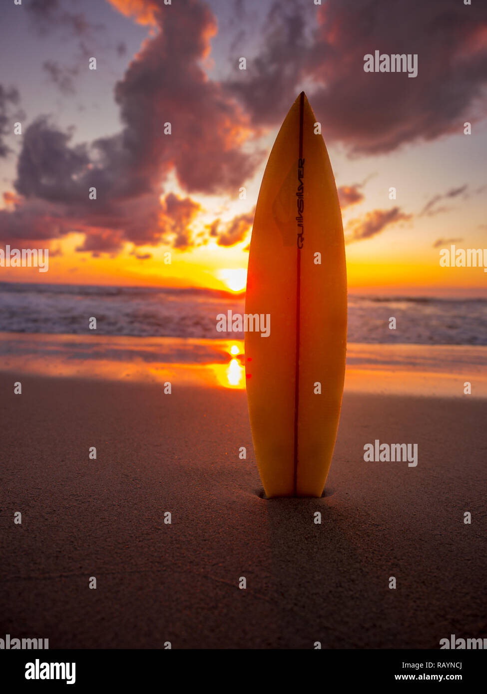 surfboard on the beach in sea shore at sunset time with beautiful light ...