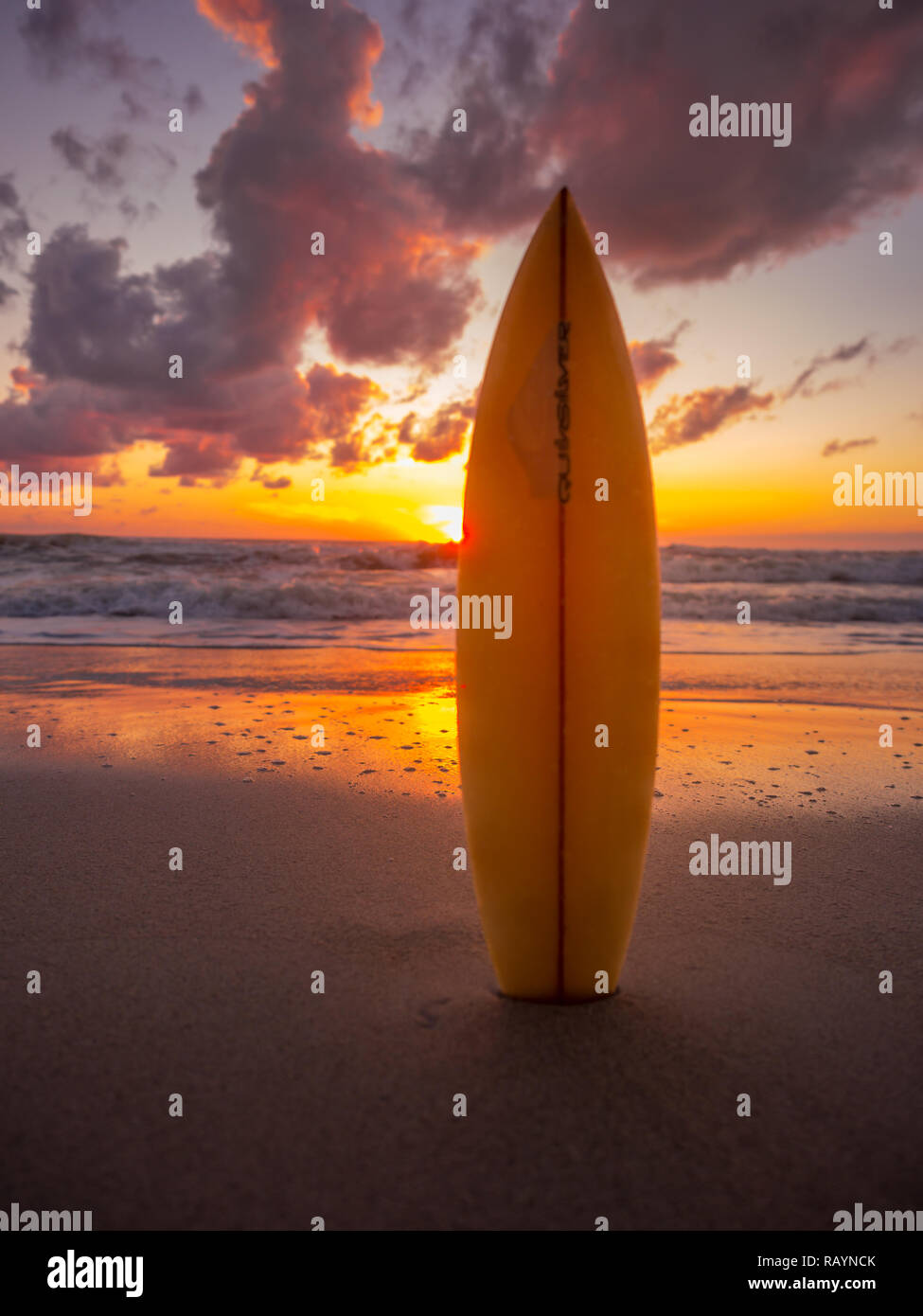 surfboard on the beach in sea shore at sunset time with beautiful light ...