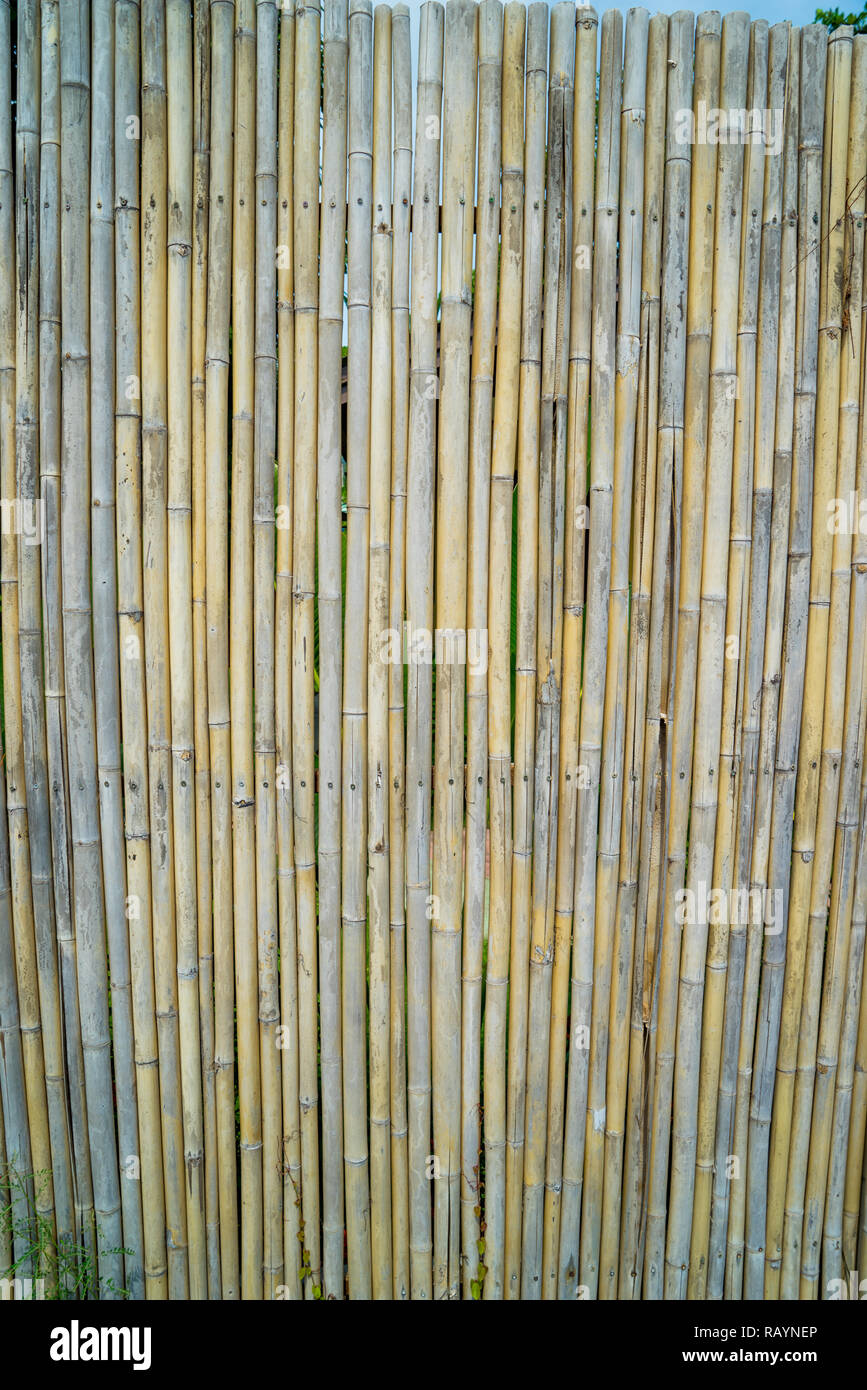 bamboo fence background Stock Photo - Alamy