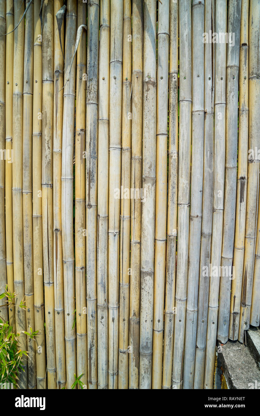 bamboo fence background Stock Photo - Alamy
