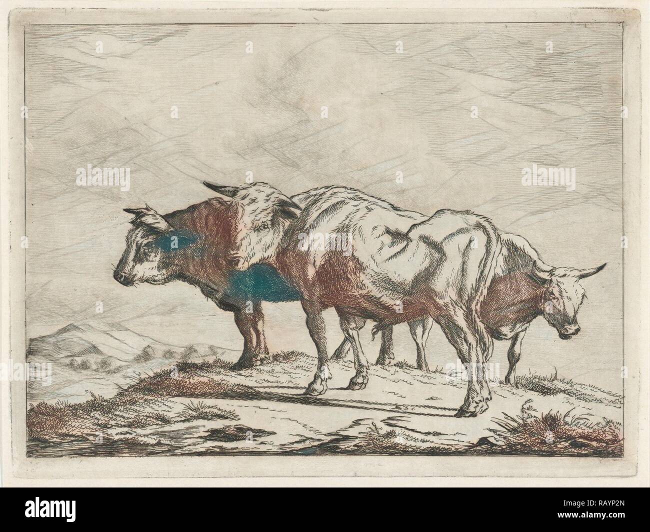 Three oxen, Jacobus Cornelis Gaal, Pieter Gaal, 1854. Reimagined by ...