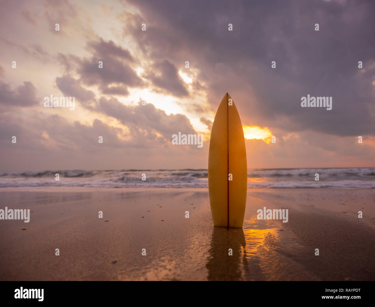 surfboard on the beach in sea shore at sunset time with beautiful light ...
