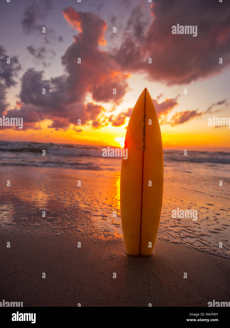 surfboard on the beach in sea shore at sunset time with beautiful light ...