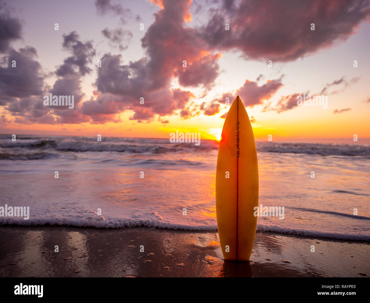 surfboard on the beach in sea shore at sunset time with beautiful light ...