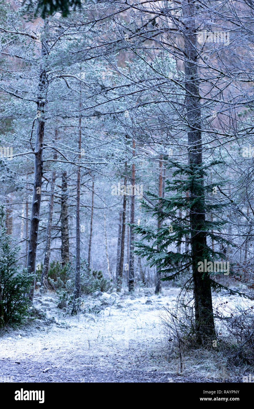 January cold climate hi-res stock photography and images - Alamy