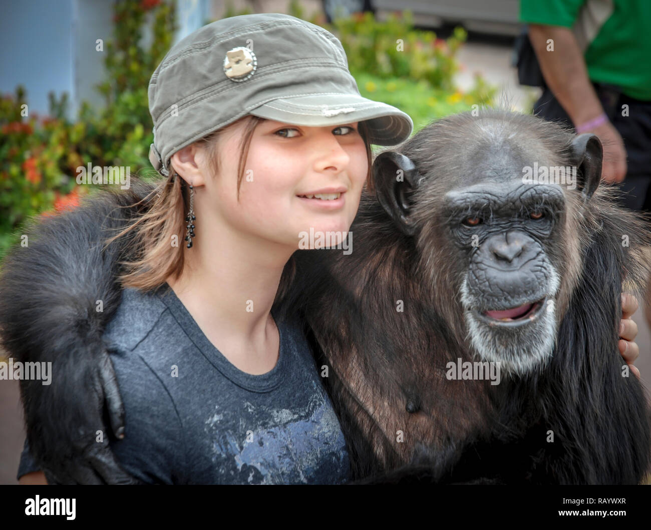 Teenage girl posing for a photo with a chimpanzee in Cancun, Mexico ...