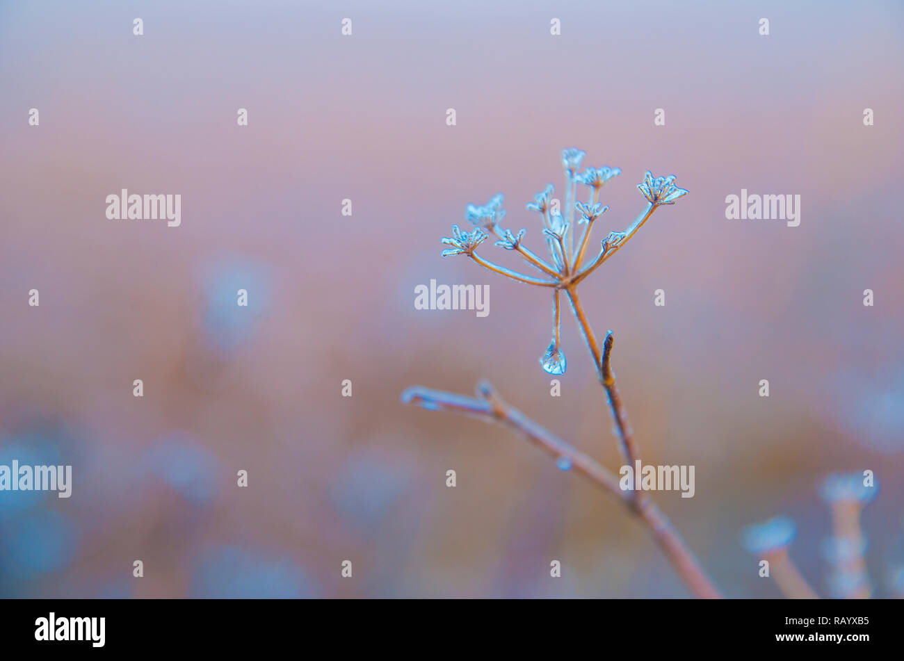 Concepto frío hi-res stock photography and images - Alamy