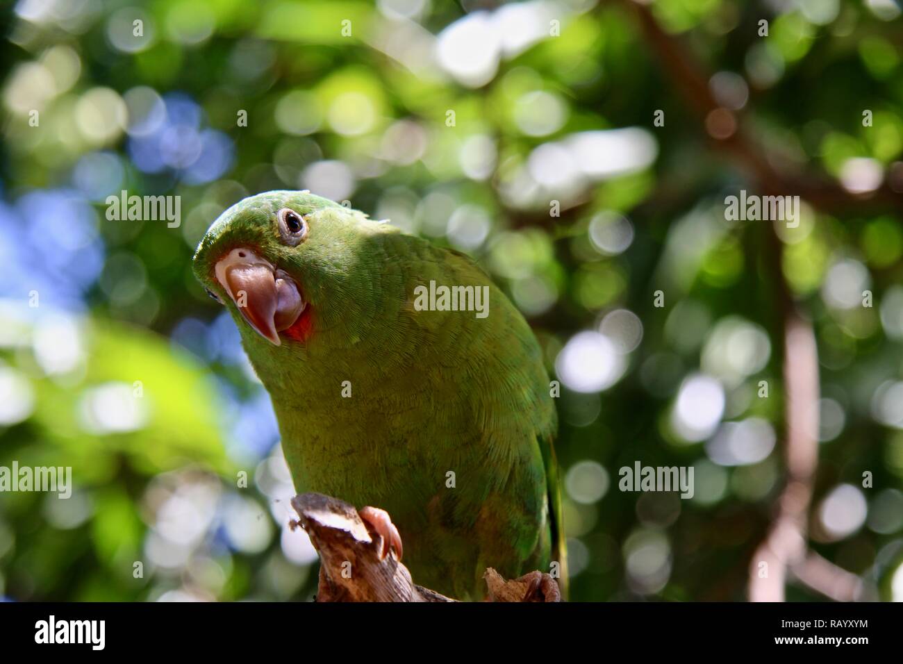 Curious effects hi-res stock photography and images - Alamy