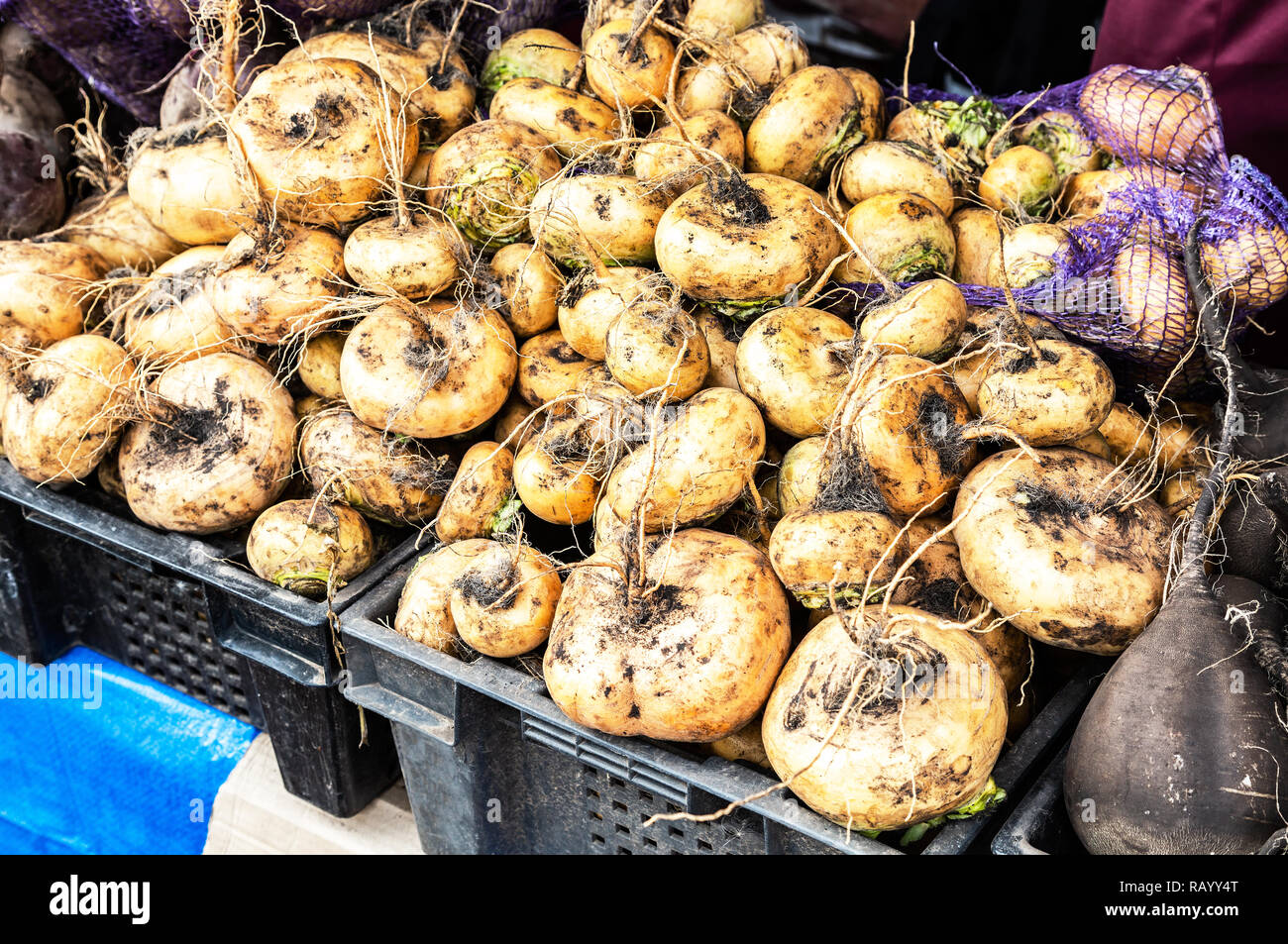 Turnips with stem hi-res stock photography and images - Alamy