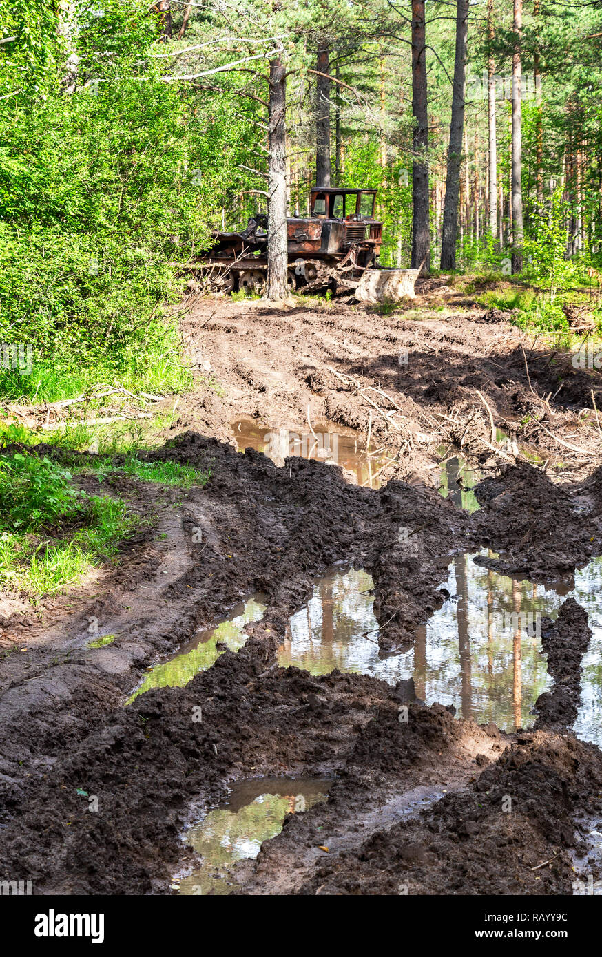 Old skidder at the forest in summertime. Skidding machine for timber ...
