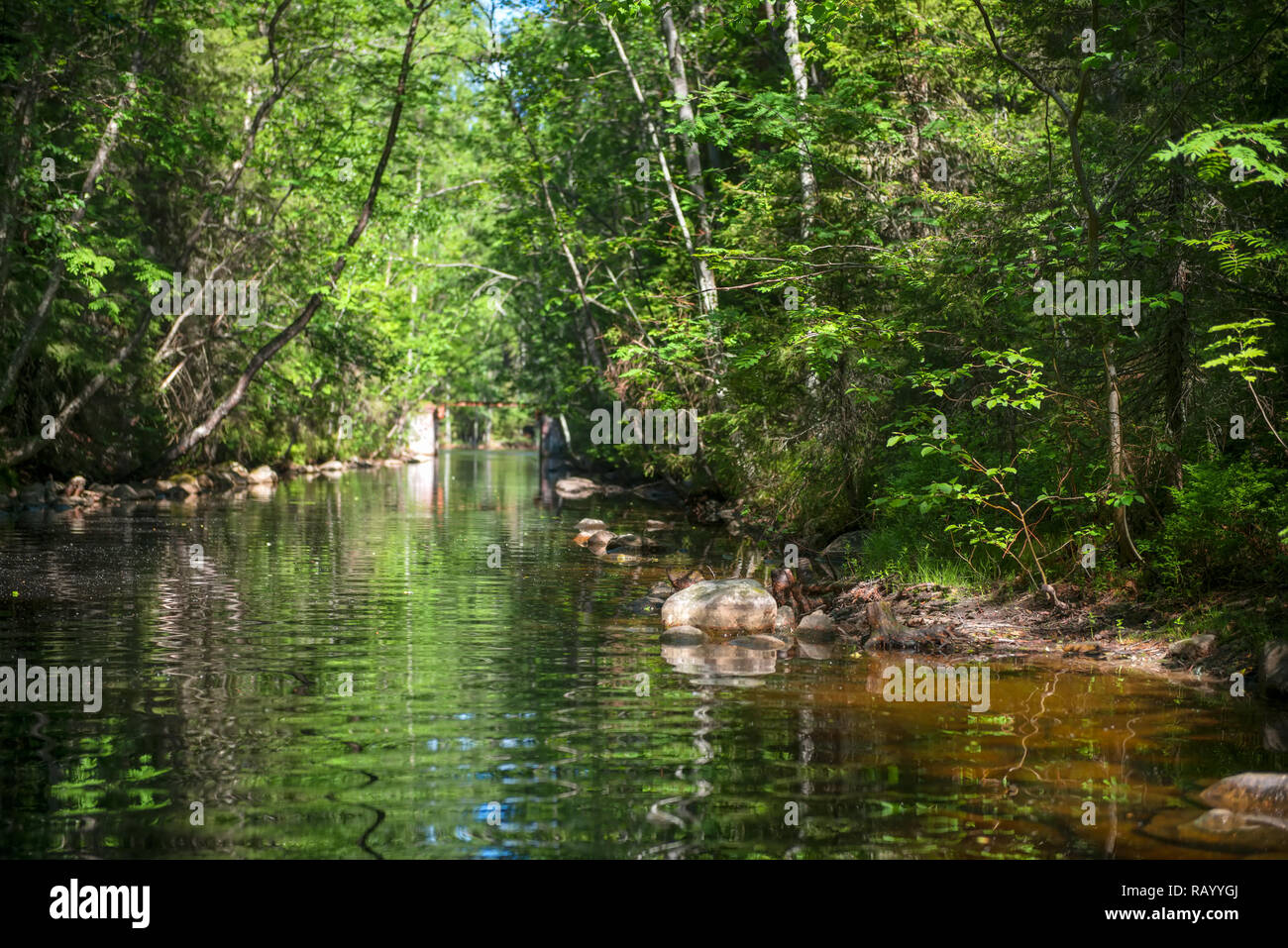 Channel of the lake-channel system of the Big Solovetsky Island on ...
