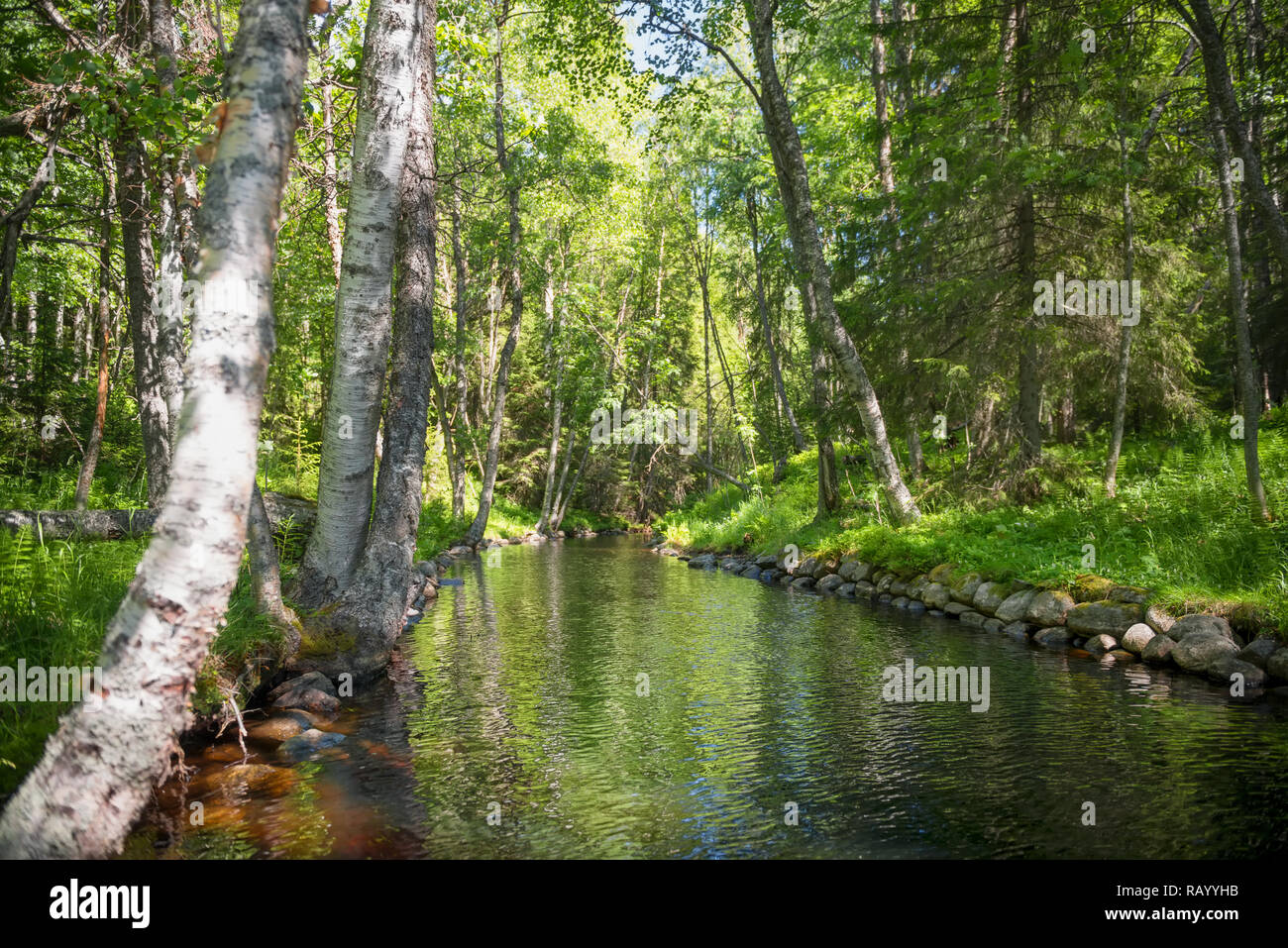 Channel of the lake-channel system of the Big Solovetsky Island on ...