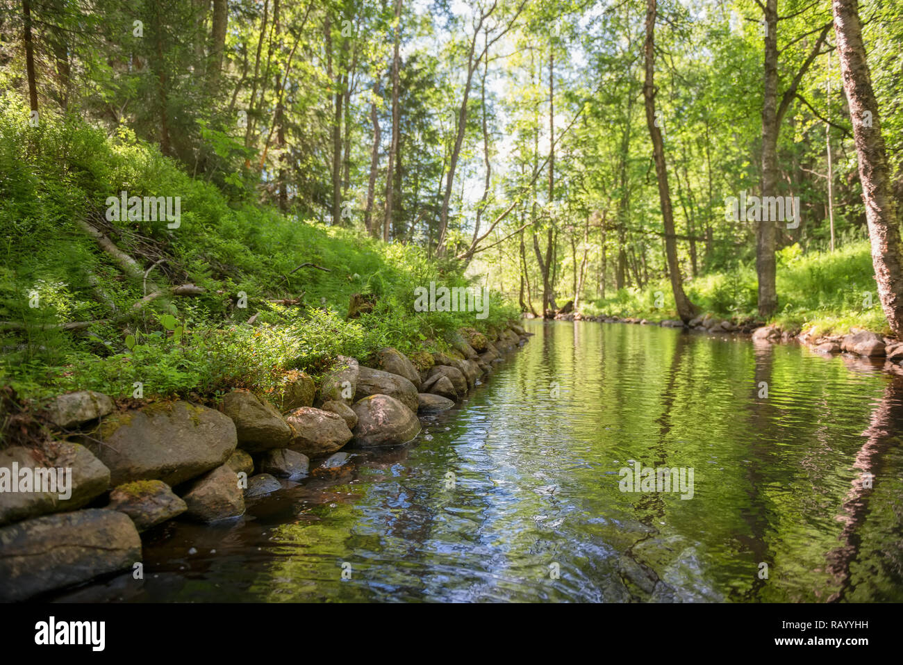 Channel of the lake-channel system of the Big Solovetsky Island on ...