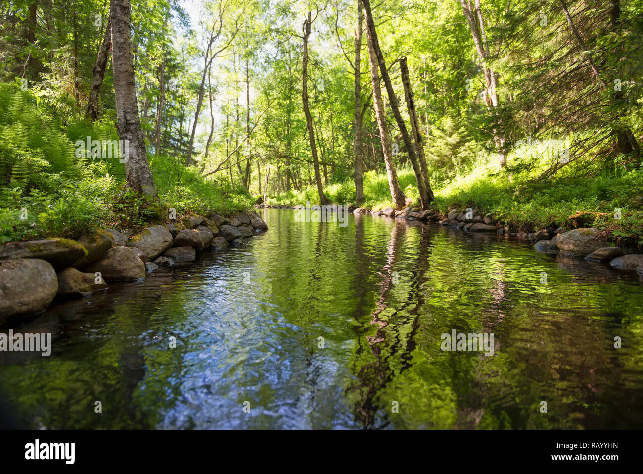 Channel of the lake-channel system of the Big Solovetsky Island on ...