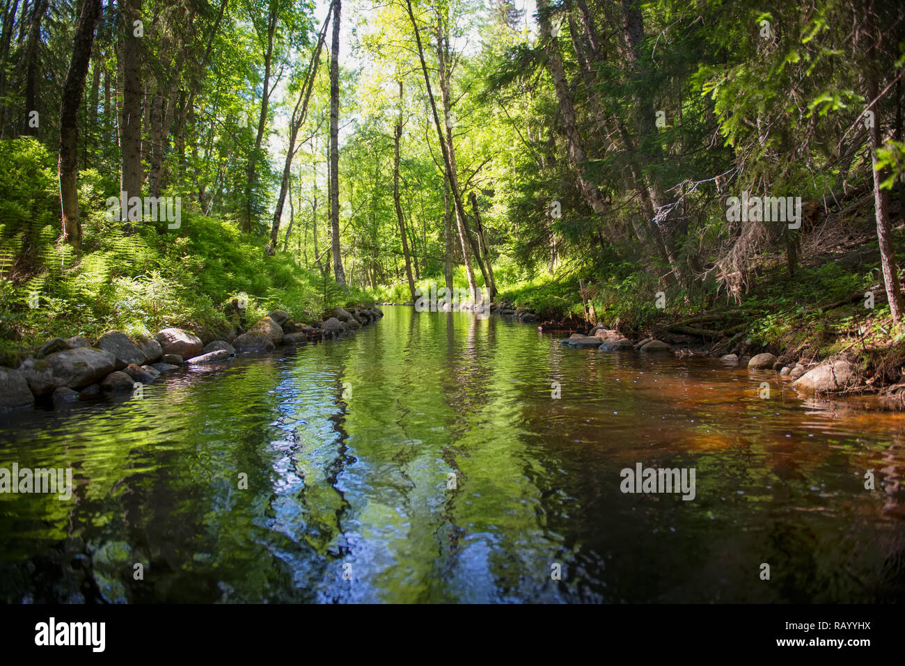 Channel of the lake-channel system of the Big Solovetsky Island on ...