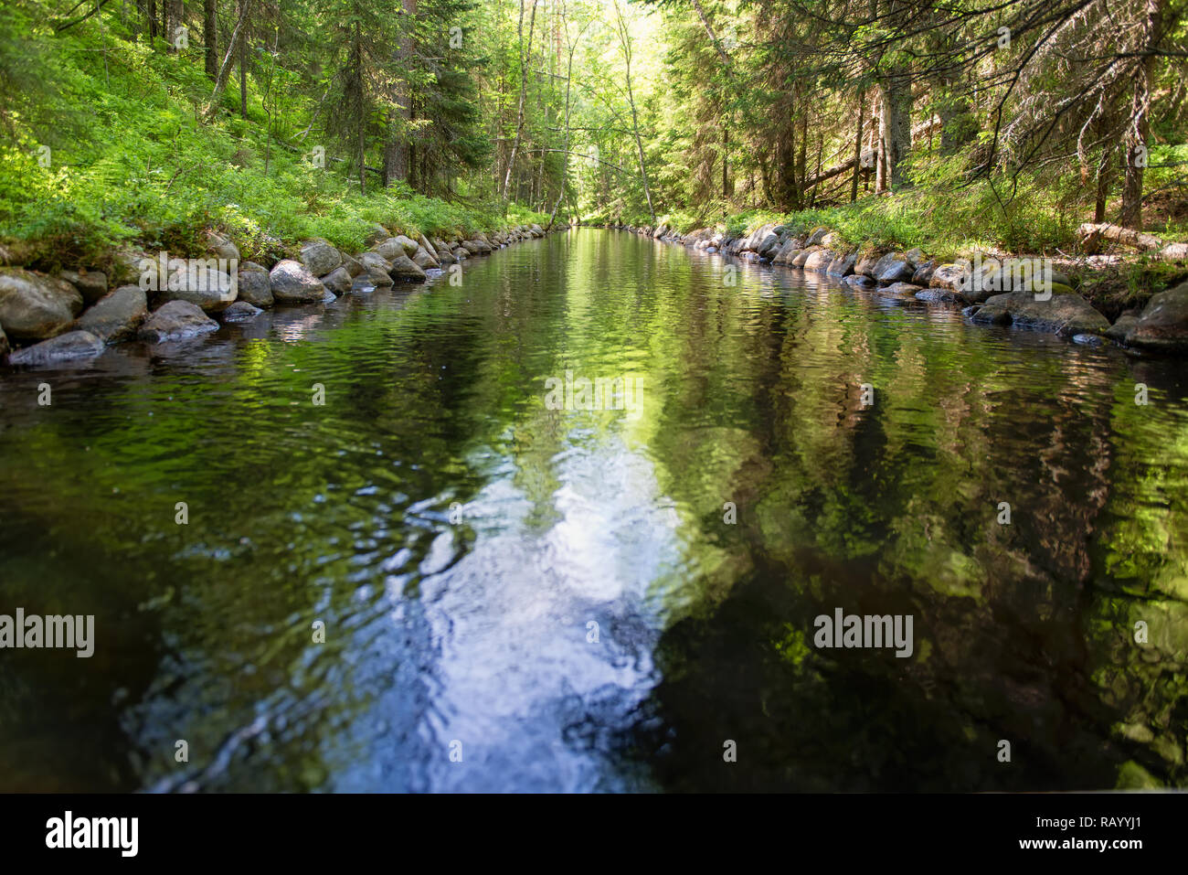 Channel of the lake-channel system of the Big Solovetsky Island on ...