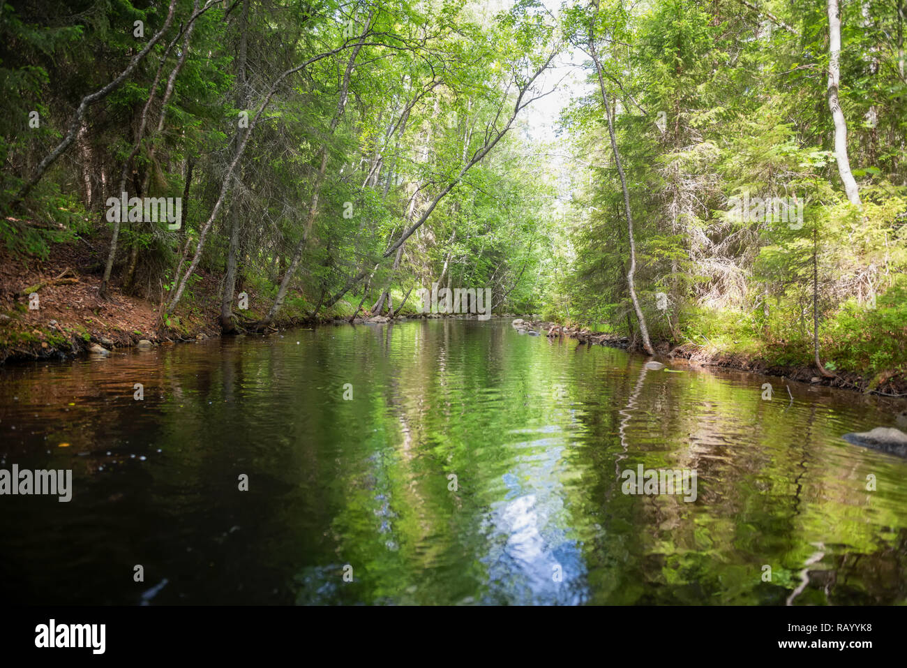 Channel of the lake-channel system of the Big Solovetsky Island on ...