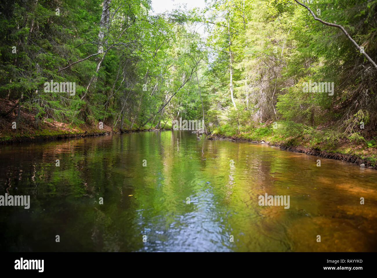 Channel of the lake-channel system of the Big Solovetsky Island on ...