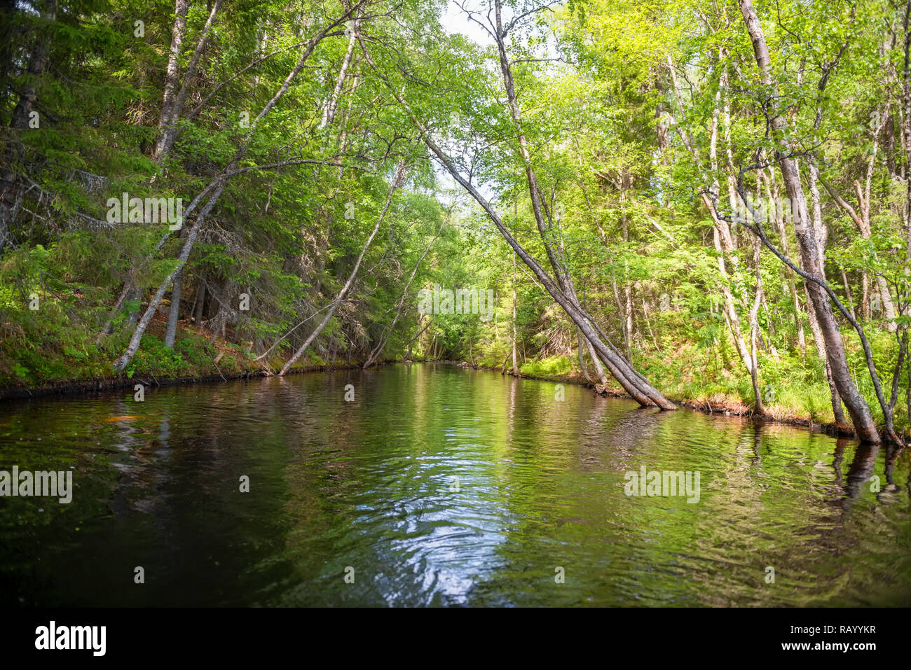Channel of the lake-channel system of the Big Solovetsky Island on ...