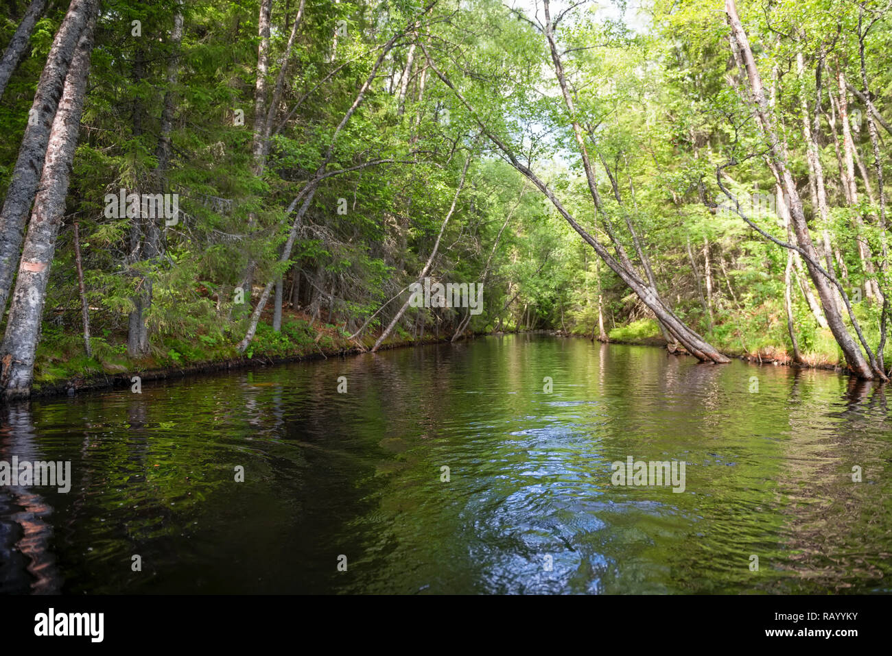 Channel of the lake-channel system of the Big Solovetsky Island on ...