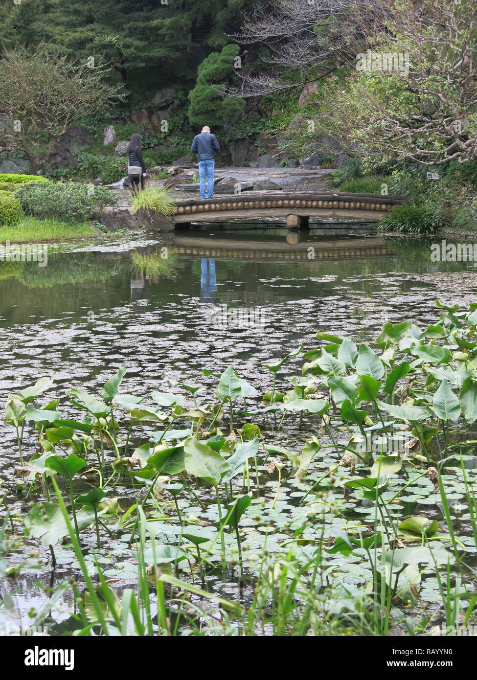 Couple in the distance walk across a low stone bridge over a pond with ...