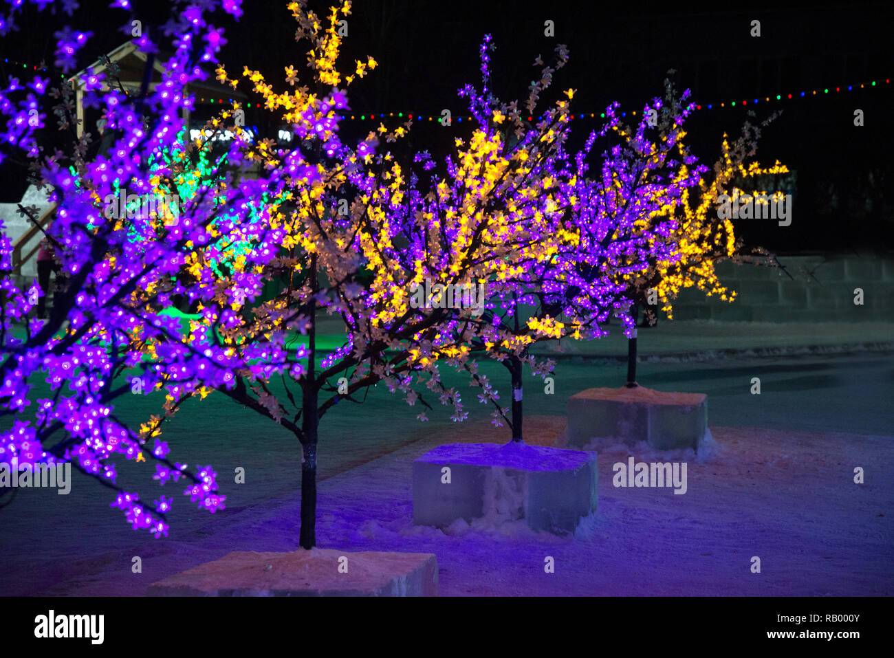 Beautiful glow flower with neon lamp light decorate on tree beside road ...