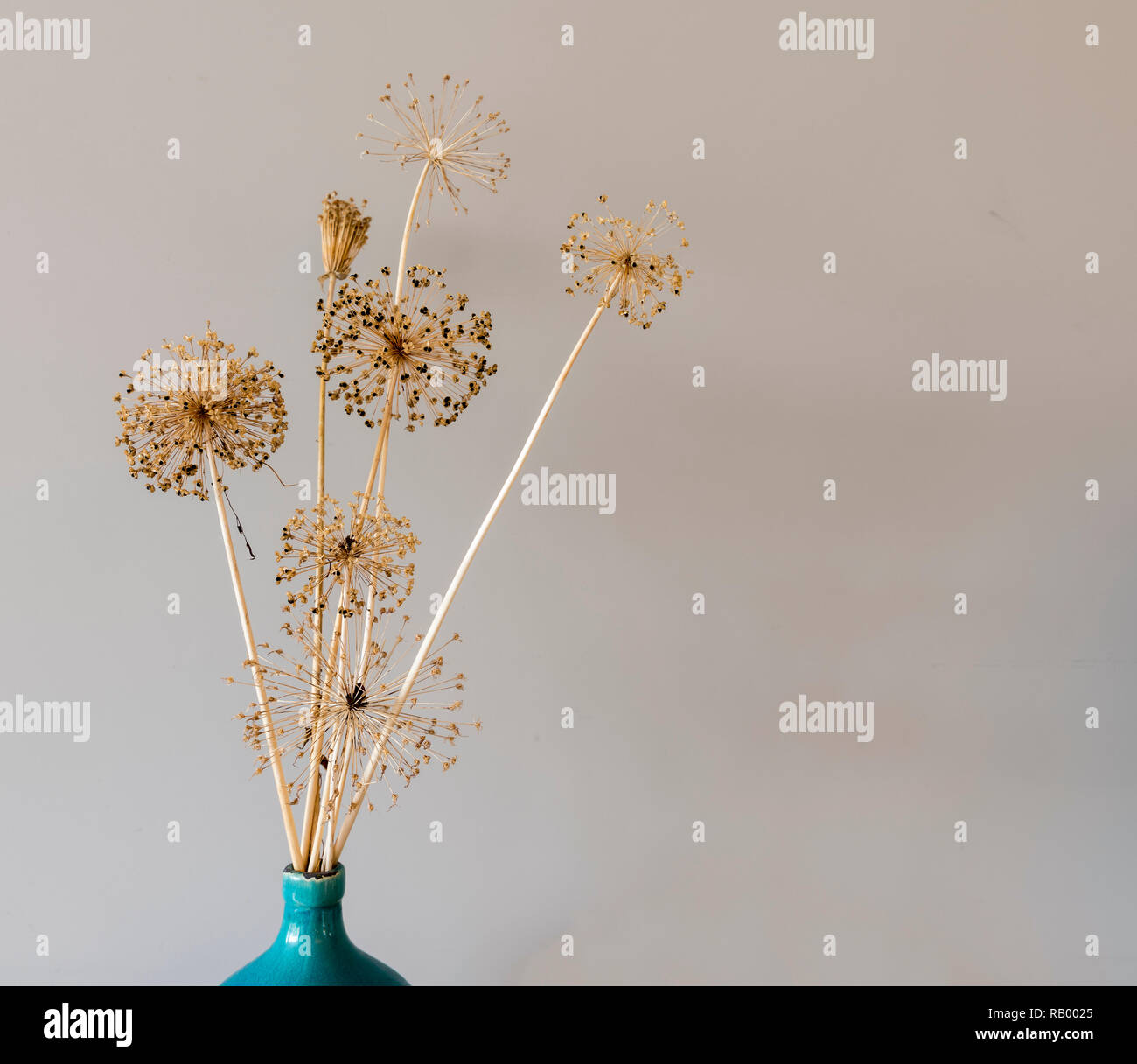 Dried allium vase hi-res stock photography and images - Alamy