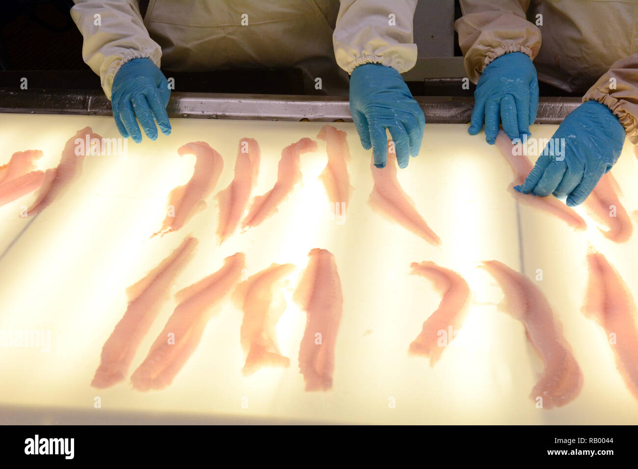 Fish processing plant hi-res stock photography and images - Alamy