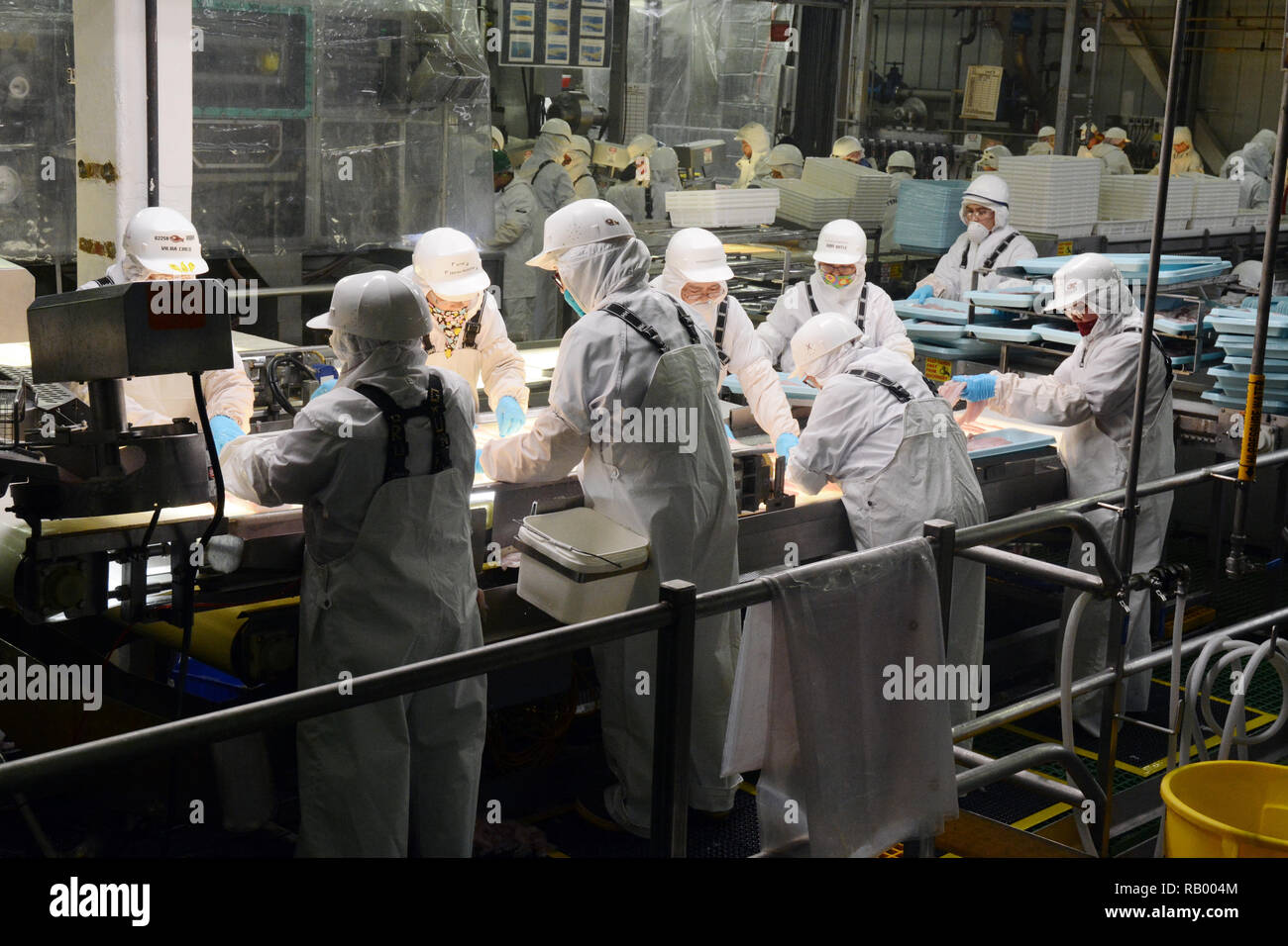 Alaska pollock fishery hi-res stock photography and images - Alamy