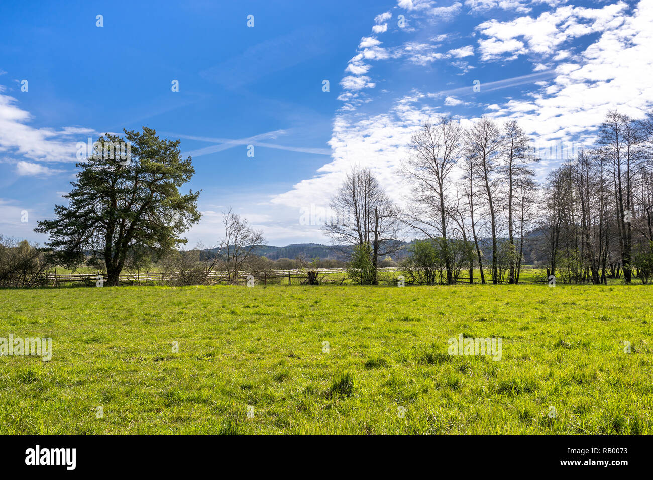 Grass field and blue sky over farm land, countryside landscape with ...