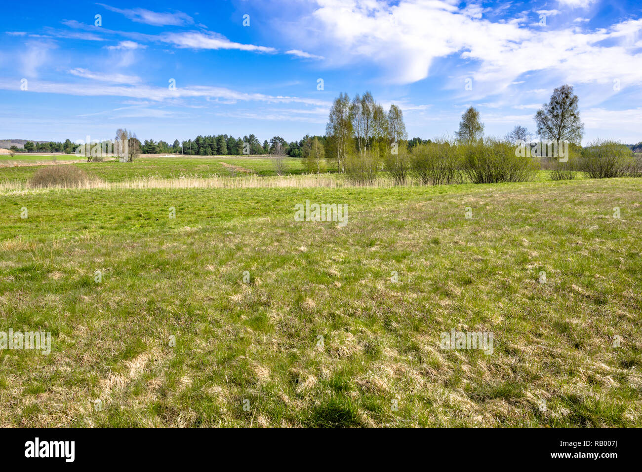 Pasture or grass field, green spring landscape and blue sky Stock Photo ...