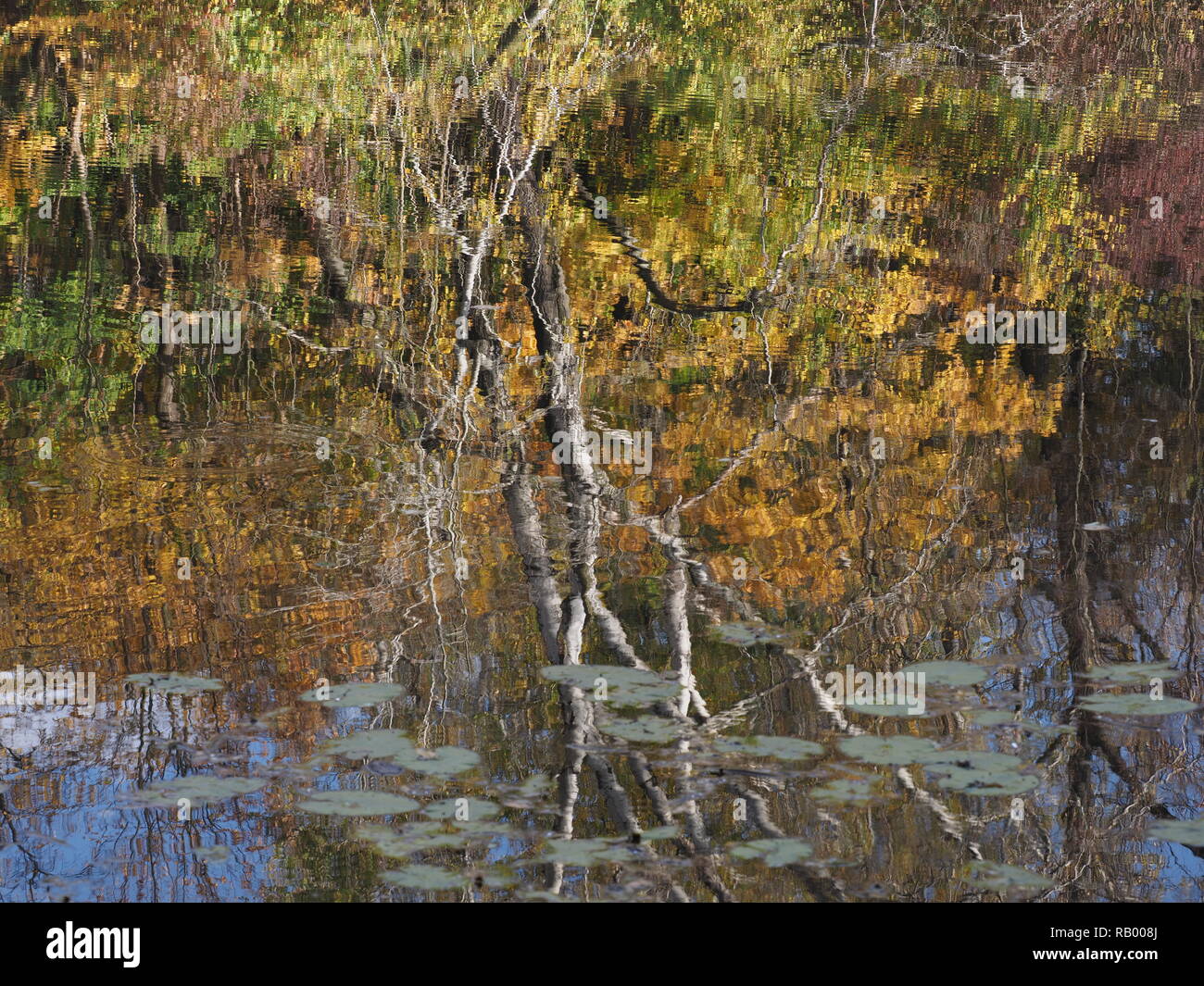 Scenic water reflection of landscapes of colorful trees and river at ...