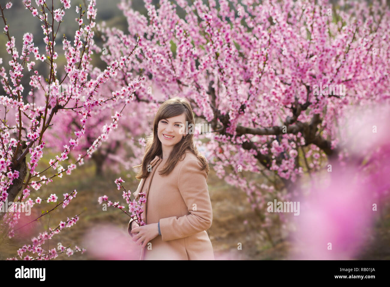 Garden Lady Peach Tree