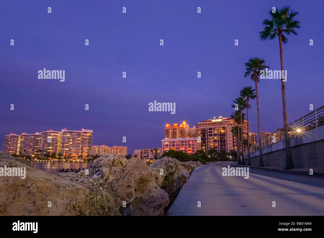 Tropical cityscape with illuminated buildings and palm trees Stock ...