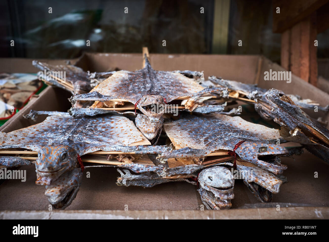 Dried and Skewered Tokay Geckos Stock Photo - Alamy